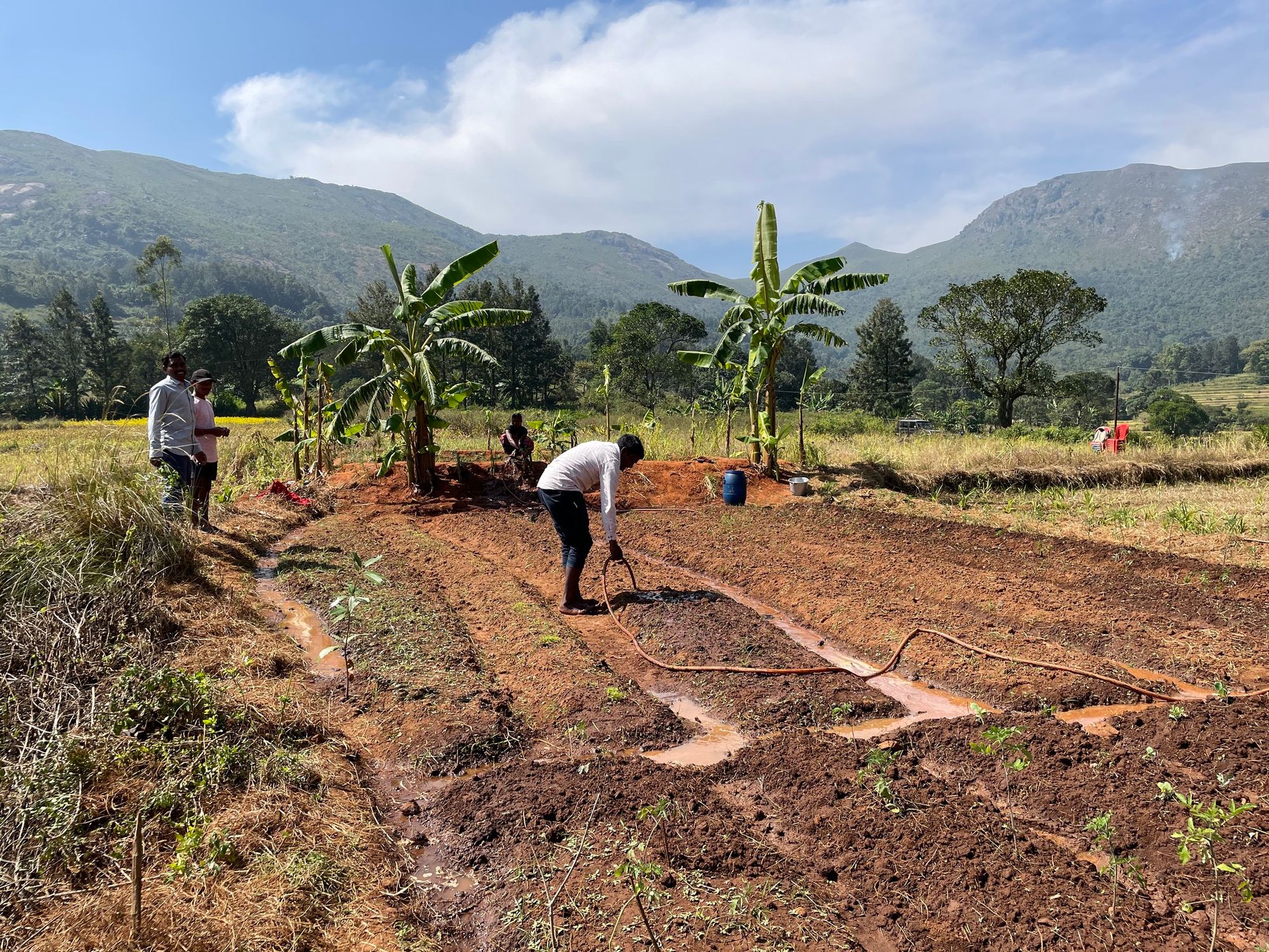4 principes appliqués pour la transformation de friches en terres agricoles